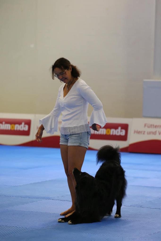 Foto Galerie Sabine Pries Hundetraining Warendorf - Teamtraining für ...